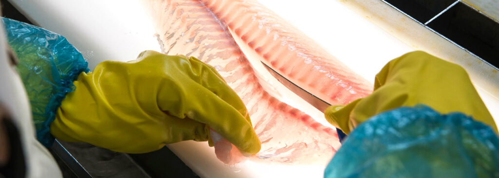 SELA Lab | Projects | TRACOD – short for TRAck the COD fish